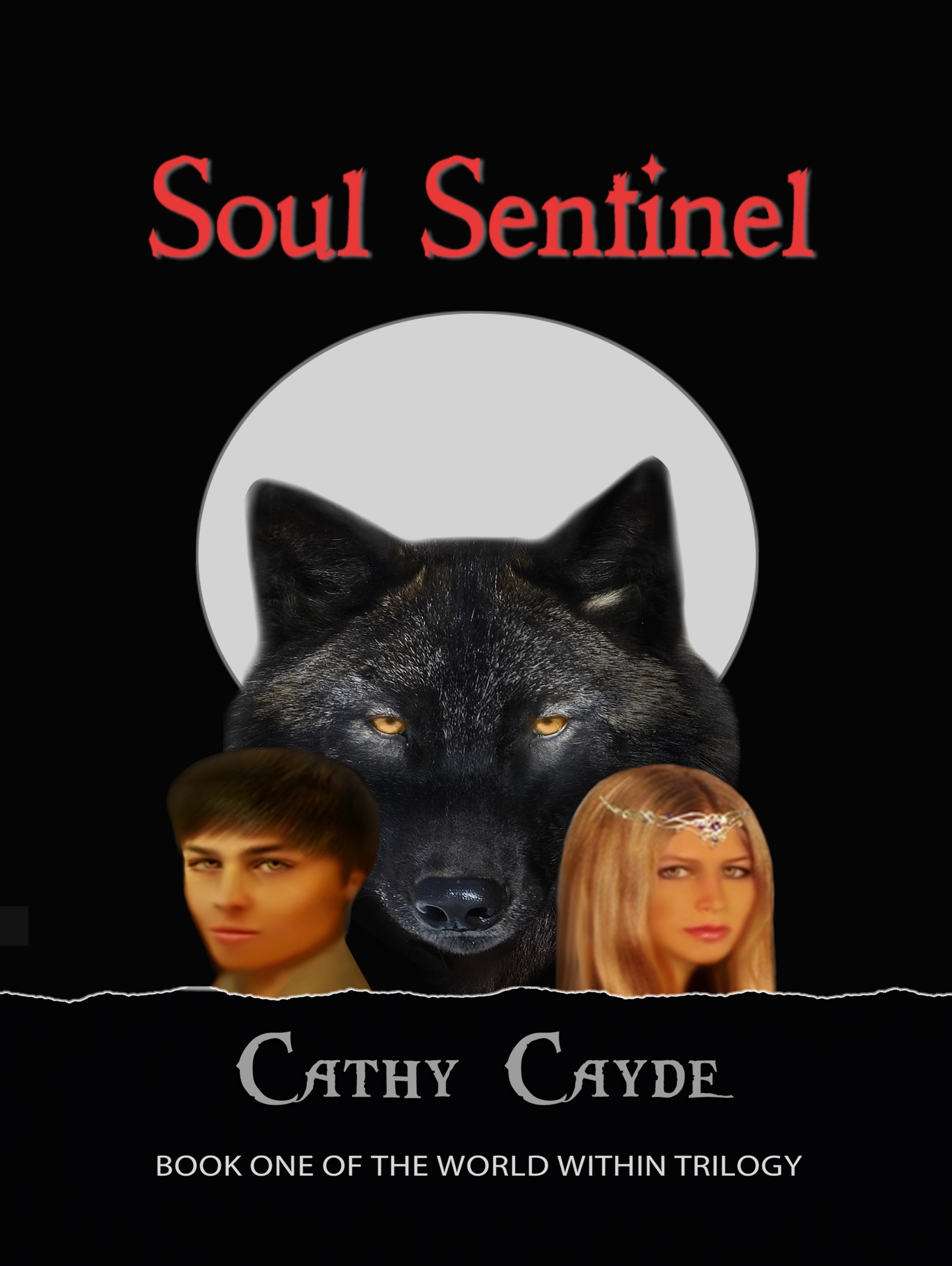 Soul Sentinel (World Within, #1) by Cathy Cayde | Goodreads