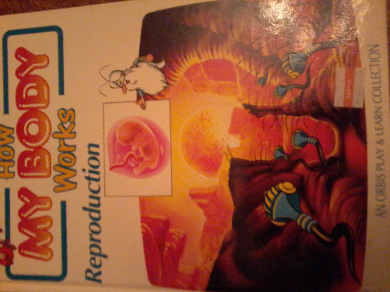 How My Body Works : Reproduction by Albert Barillé | Goodreads