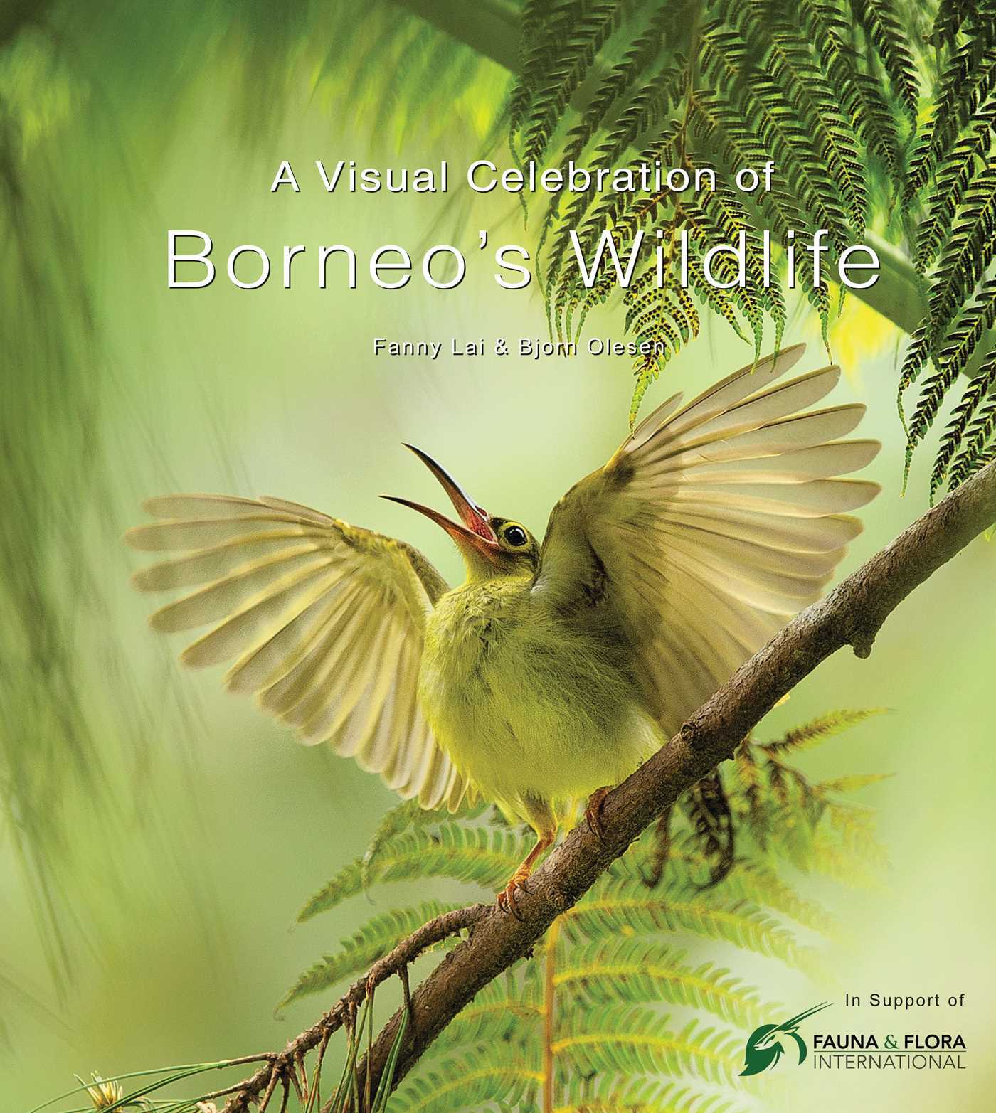 A Visual Celebration of Borneo's Wildlife: [All Royalties Donated to ...