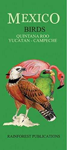 Mexico Caribbean Regions Birds Guide (Laminated Foldout Pocket Field ...