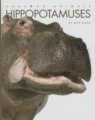Hippopotamuses (Amazing Animals) by Kate Riggs | Goodreads