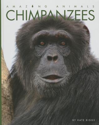 Chimpanzees (Amazing Animals) by Kate Riggs | Goodreads