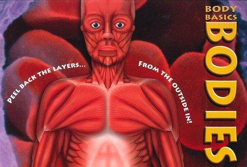 Body Basics: Bodies - Peel Back the Layers? From the Outside In! by ...