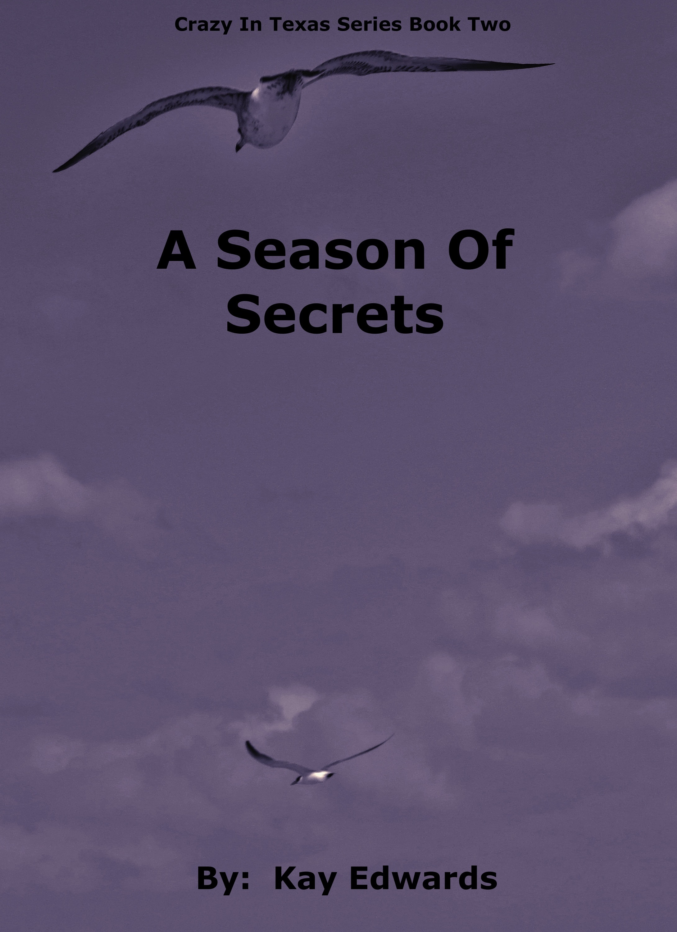 A Season Of Secrets by Kay Edwards | Goodreads