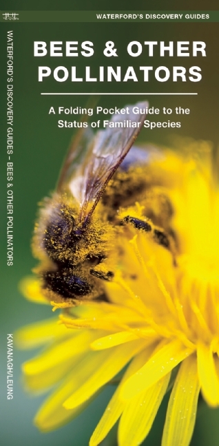 Bees & Other Pollinators: A Folding Pocket Guide to Familiar Species by ...