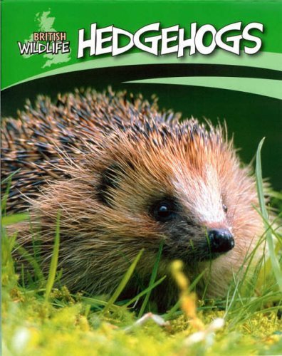 Hedgehogs by Sally Morgan | Goodreads