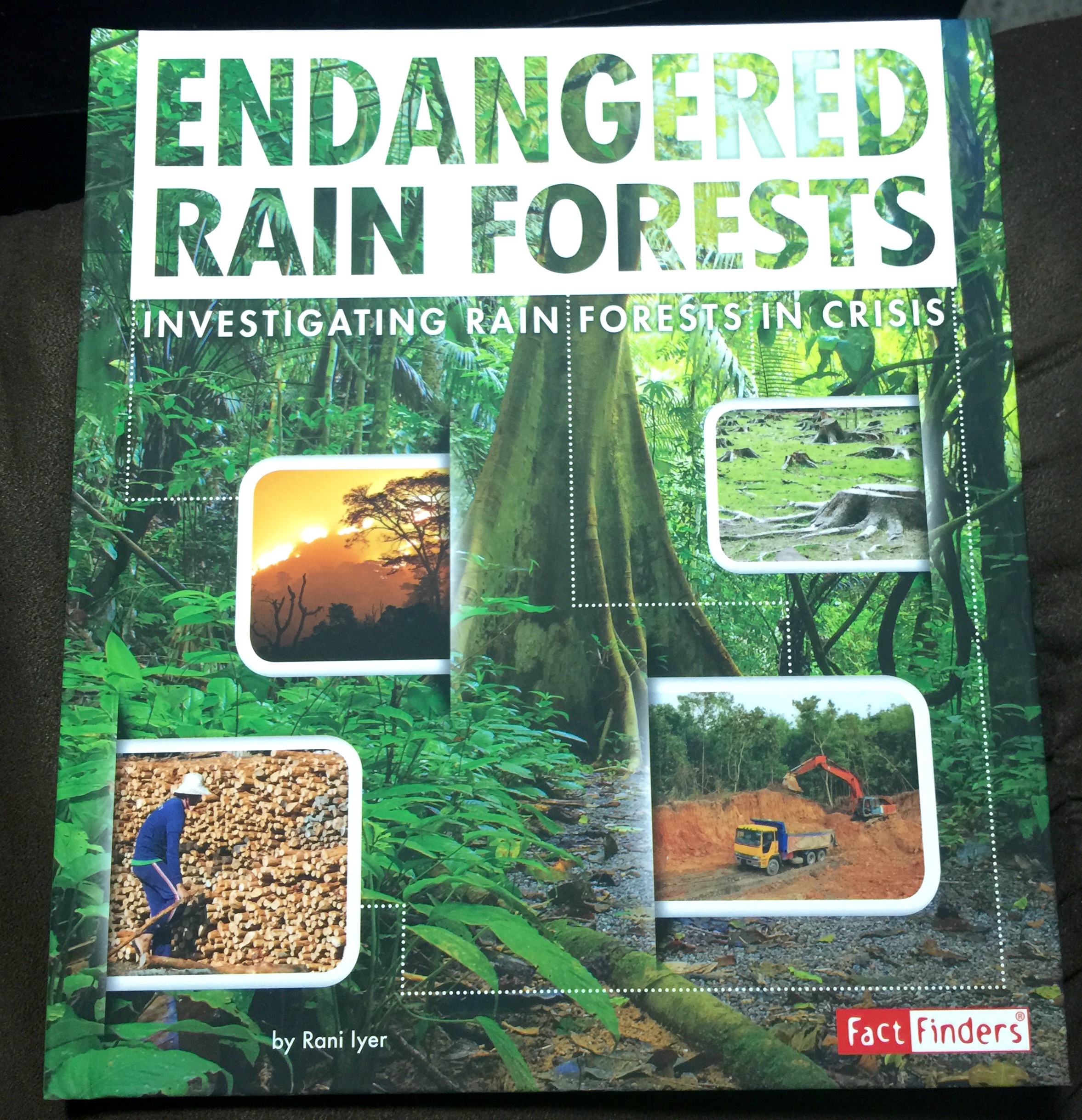 Endangered Rain Forests: Investigating Rain Forests in Crisis by Rani ...