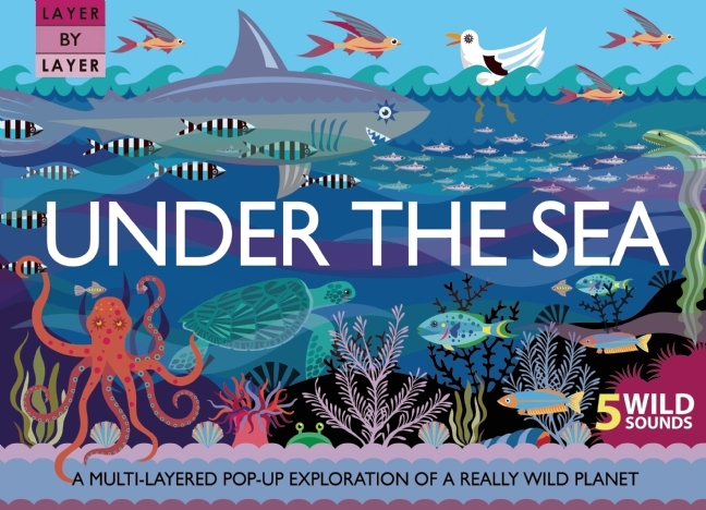 Under the Sea (Layer by Layer) by Anne Rooney | Goodreads