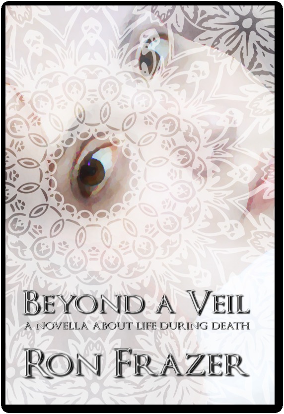 Beyond a Veil: a novella about life during death by Ron Frazer | Goodreads