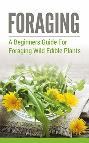 Foraging: A Beginners Guide to Foraging Wild Edible Plants by Jerry ...