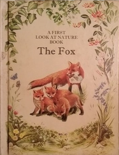 The Fox: A First Look at Nature by Angela Sheehan | Goodreads