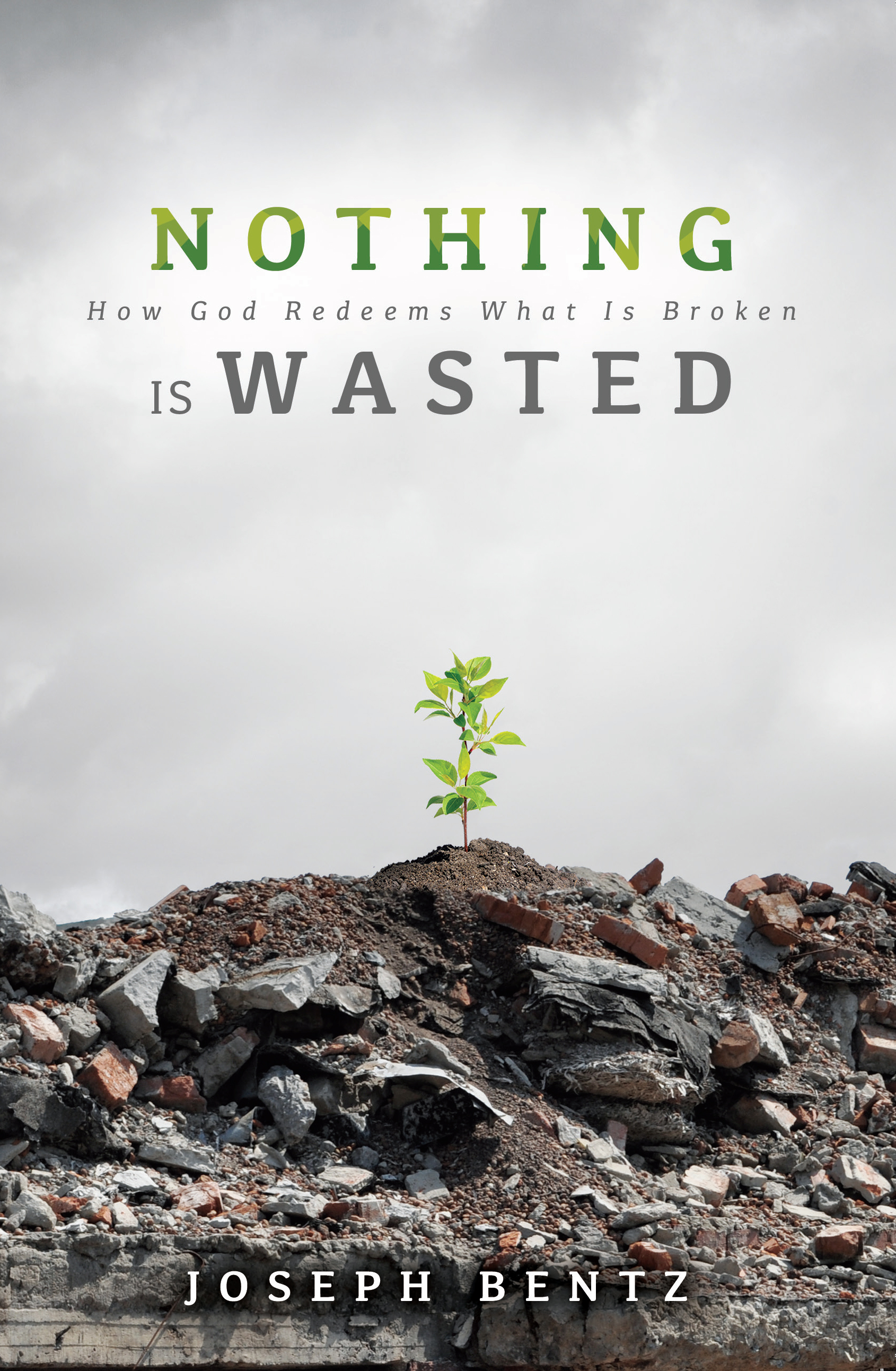 Nothing is Wasted by Joseph Bentz | Goodreads