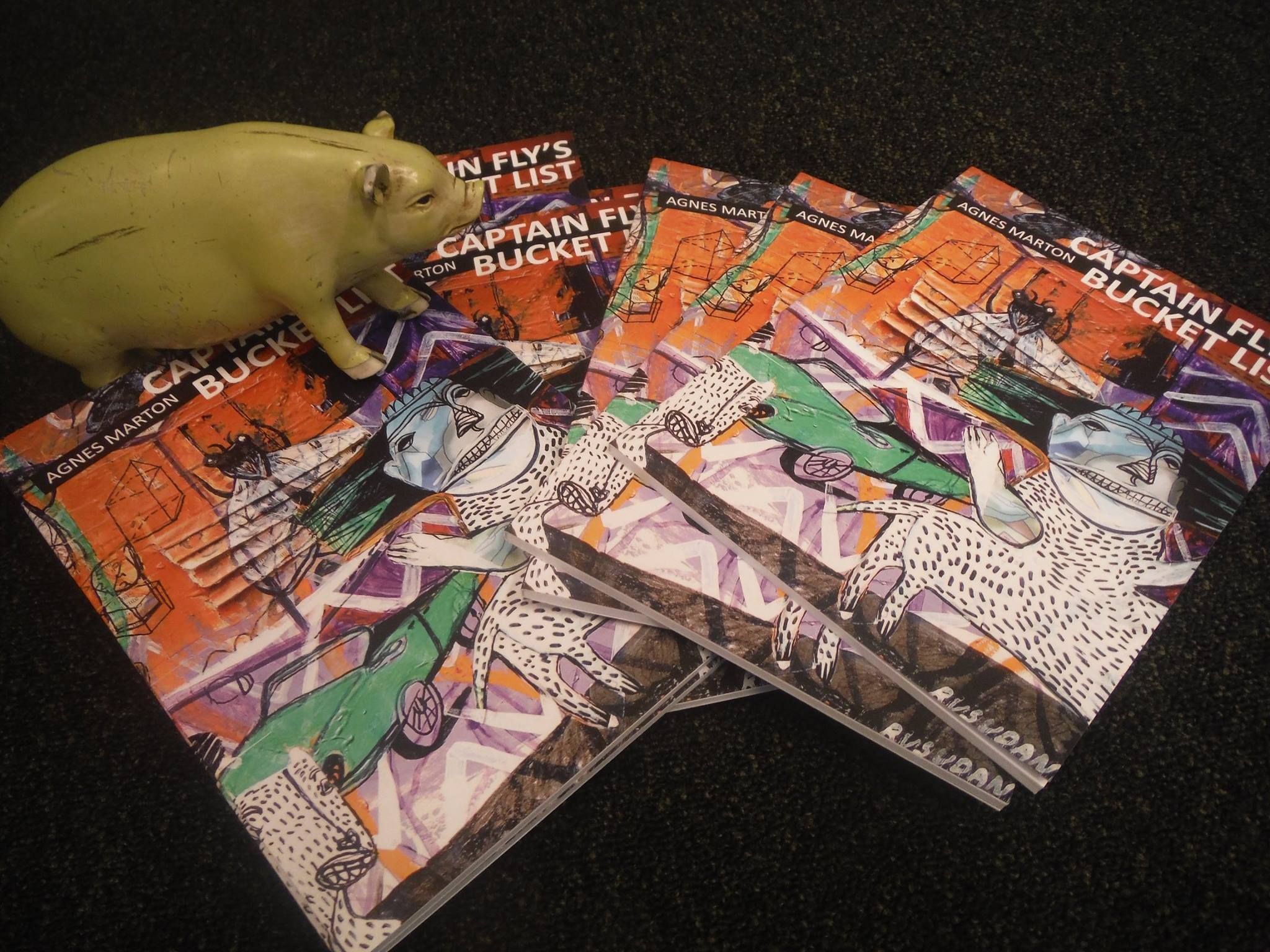 Captain Fly's Bucket List by Agnes Marton | Goodreads