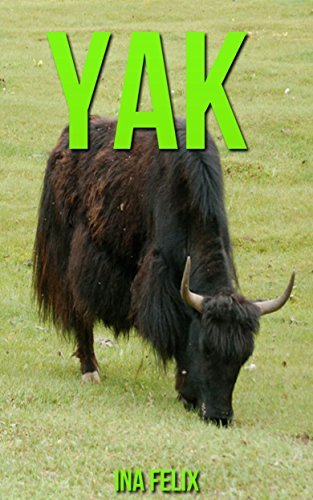 Yak: Children Book of Fun Facts & Amazing Photos on Animals in Nature ...