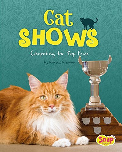 Cat Shows: Competing for Top Prize (Cats Rule!) by Rebecca Rissman ...