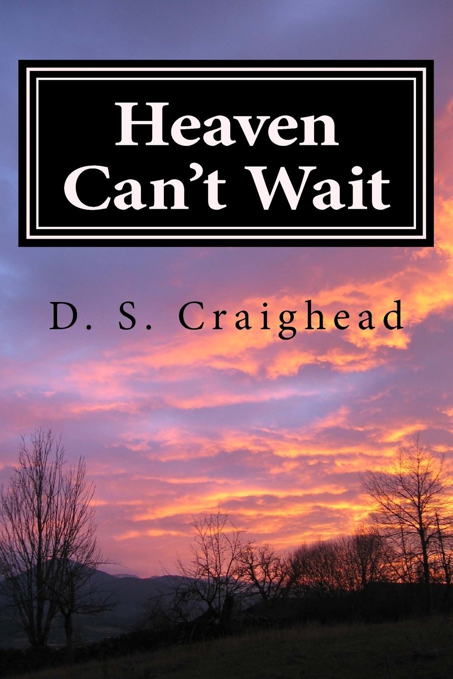 Heaven Can't Wait by D.C. Craighead | Goodreads