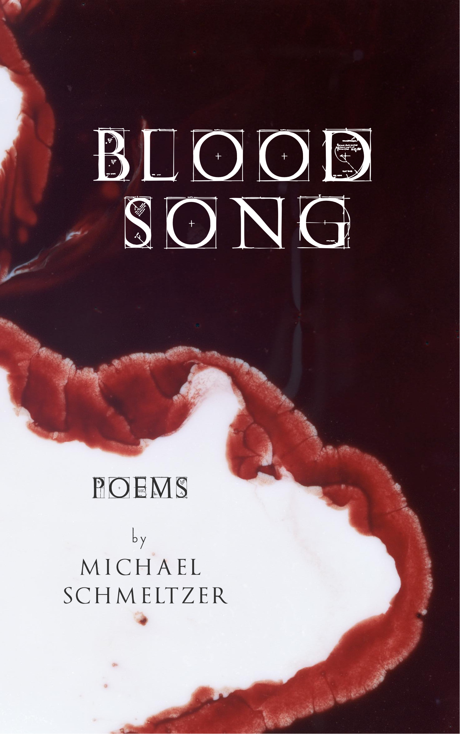 Blood Song by Michael Schmeltzer | Goodreads