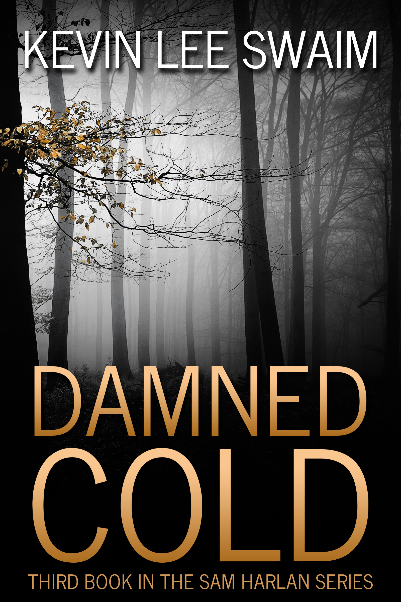 Damned Cold (Sam Harlan #3) by Kevin Lee Swaim | Goodreads
