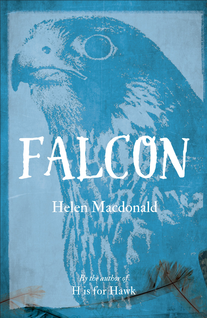 Falcon (Animal Series) by Helen Macdonald | Goodreads