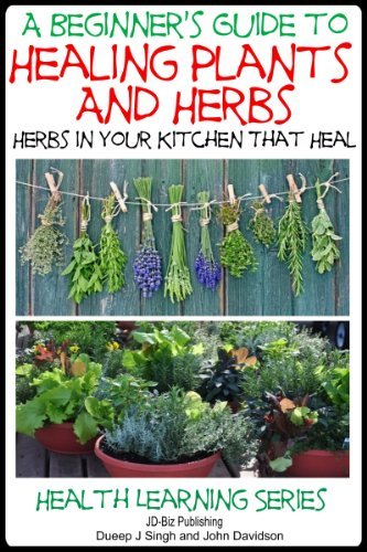 A Beginner’s Guide to Healing Plants and Herbs: Herbs in Your Kitchen ...