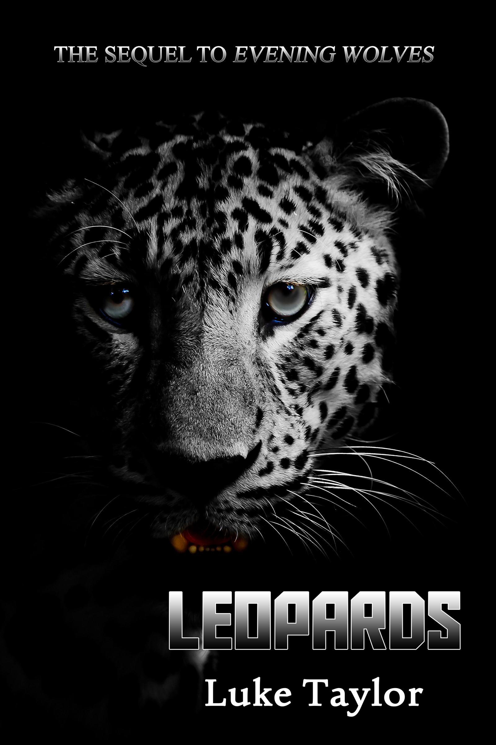 Leopards by Luke Taylor | Goodreads