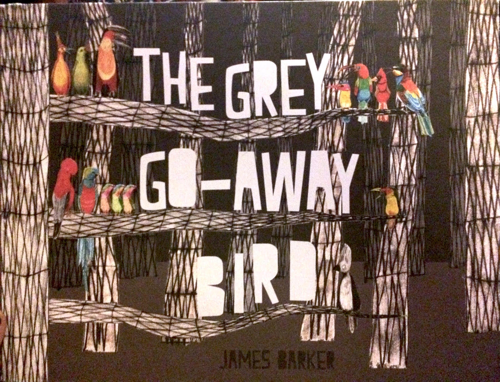 The Grey Go-Away Bird by James Barker | Goodreads