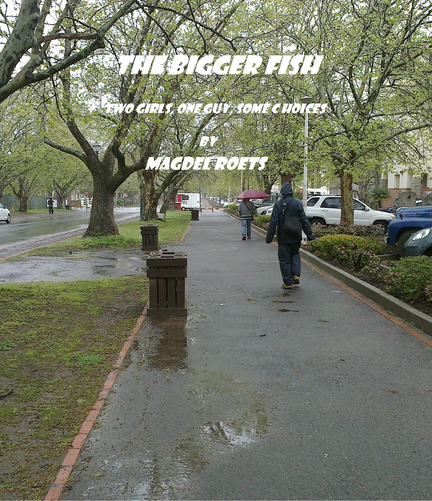 The Bigger Fish: Two Girls, One Guy, Some Choices by Magdel Roets ...
