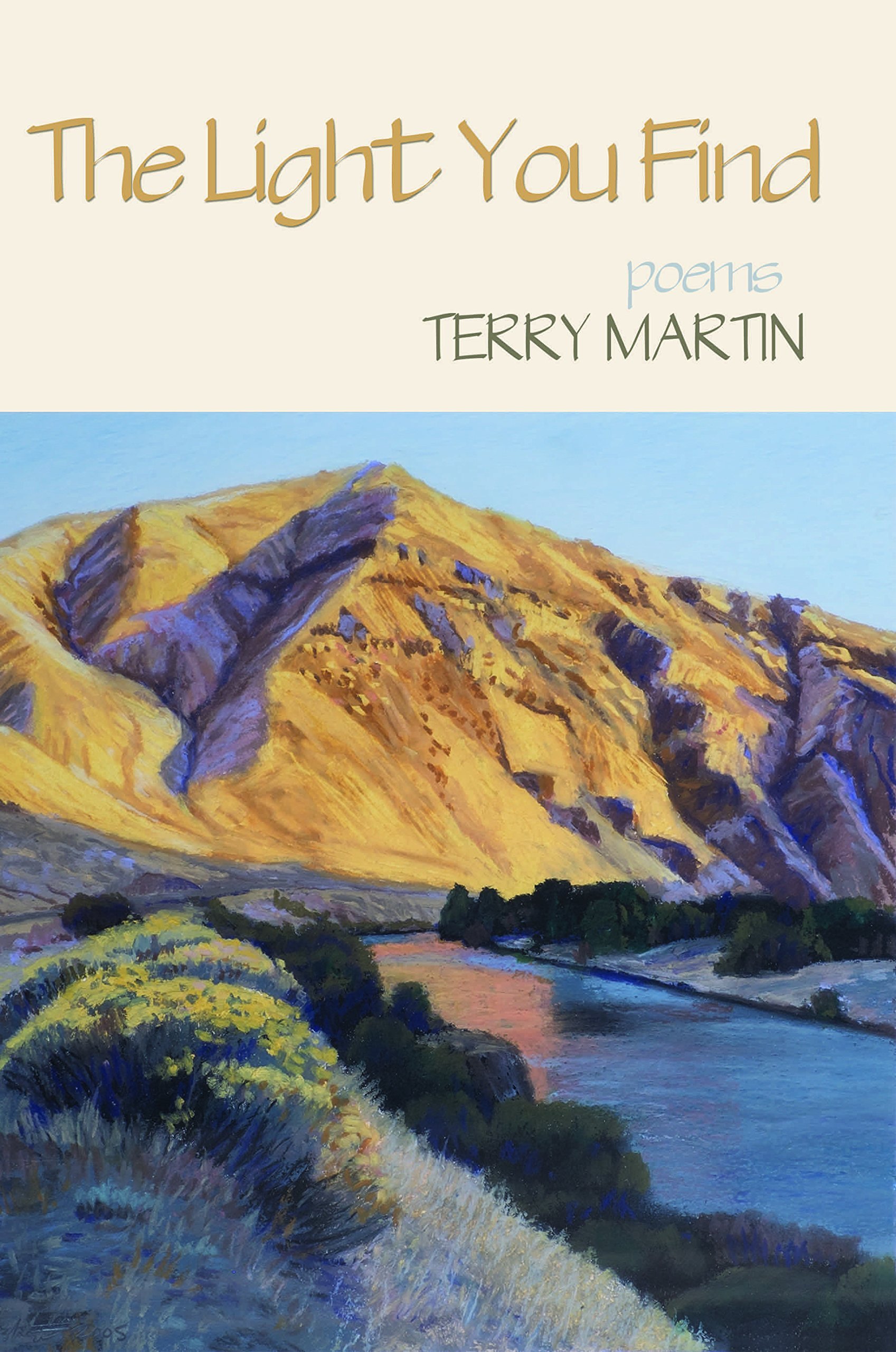 The Light You Find by Terry Martin | Goodreads