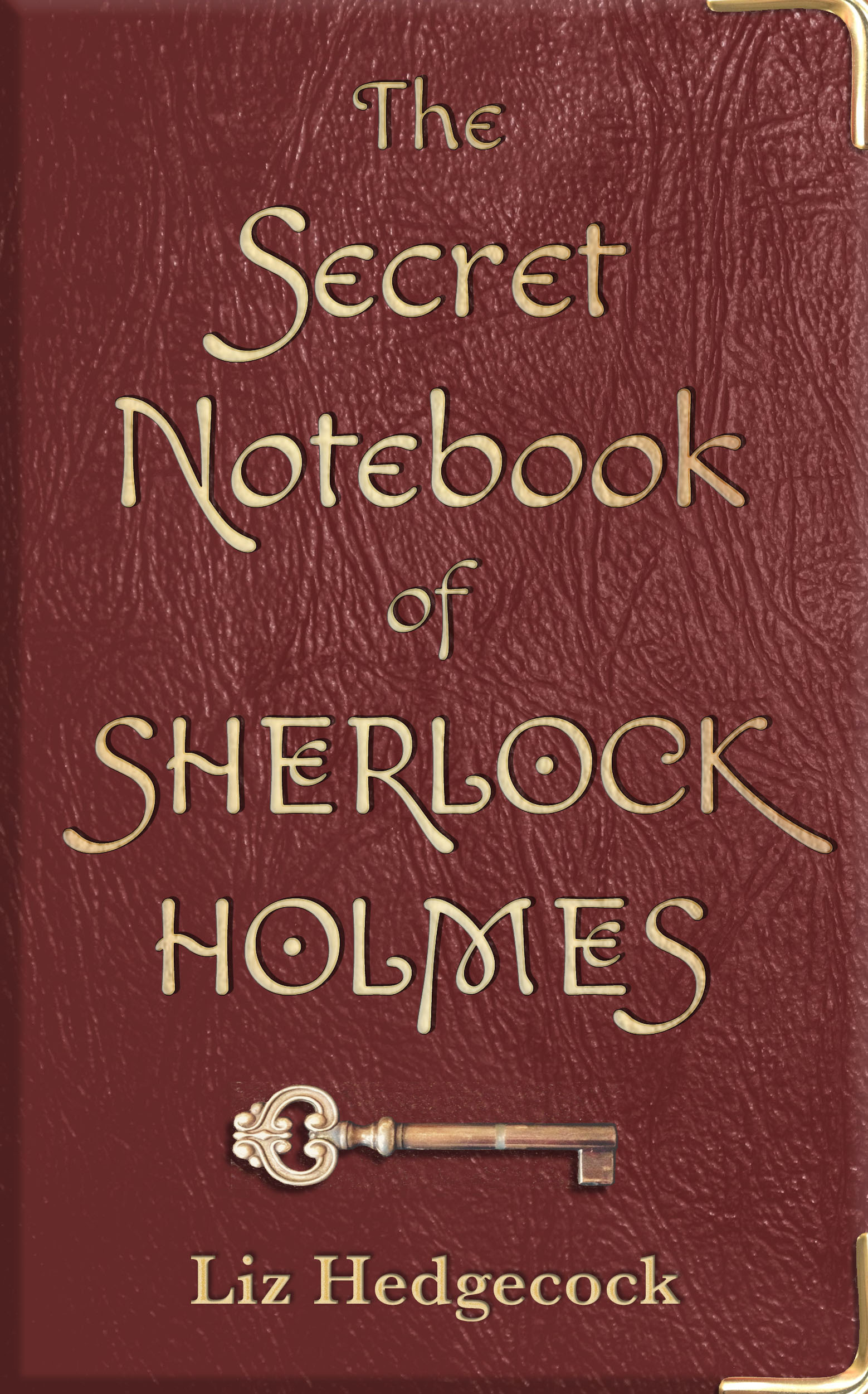 The Secret Notebook of Sherlock Holmes by Liz Hedgecock | Goodreads