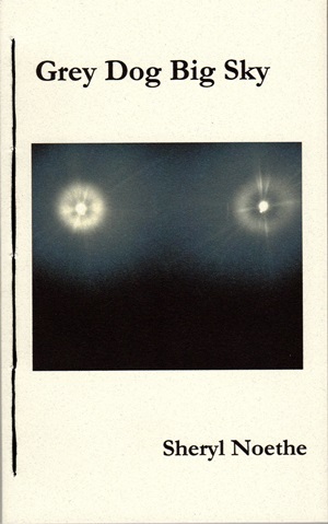 Grey Dog Big Sky by Sheryl Noethe | Goodreads