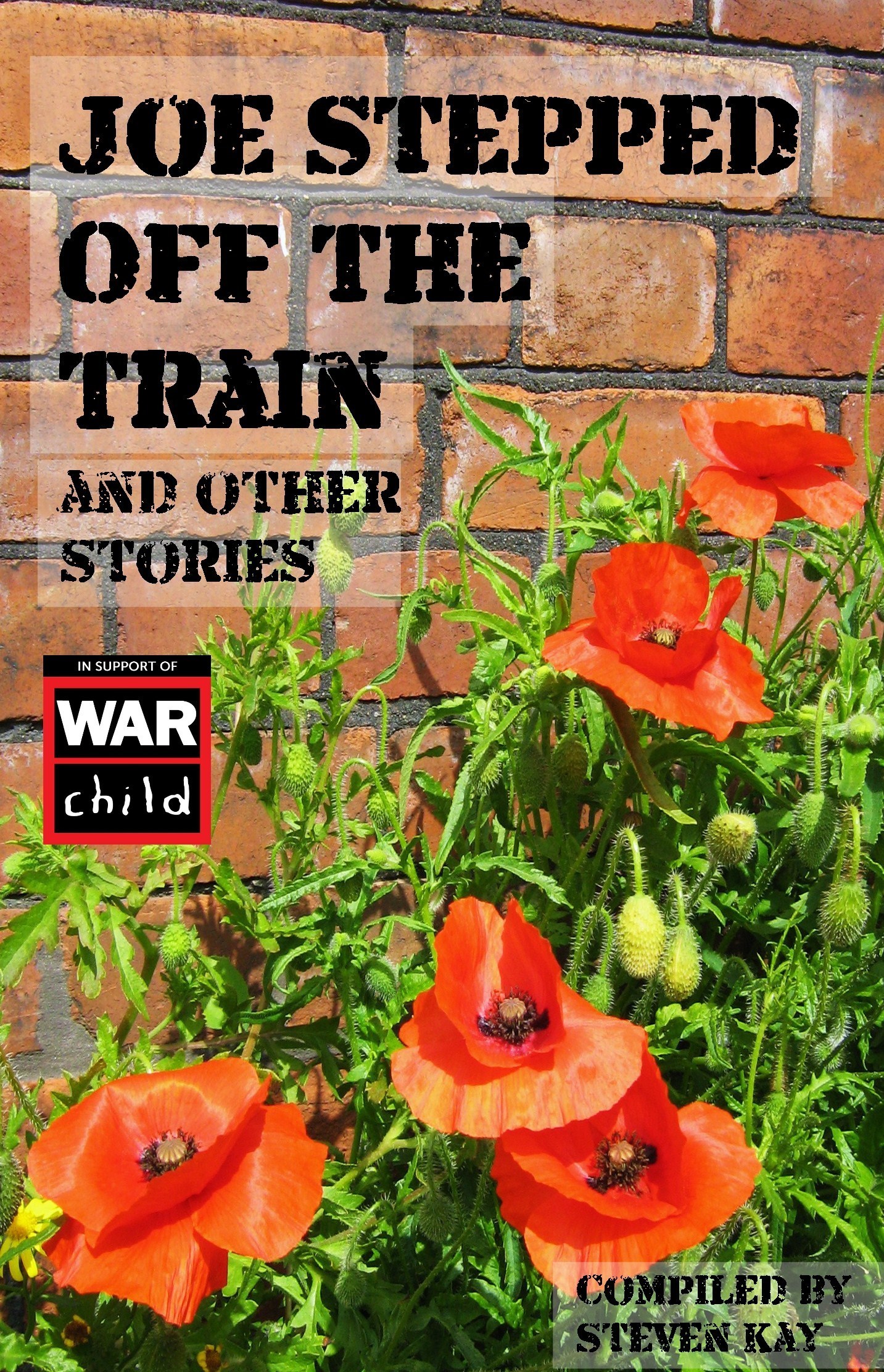 Joe Stepped Off The Train: and Other Stories by Steven Kay | Goodreads