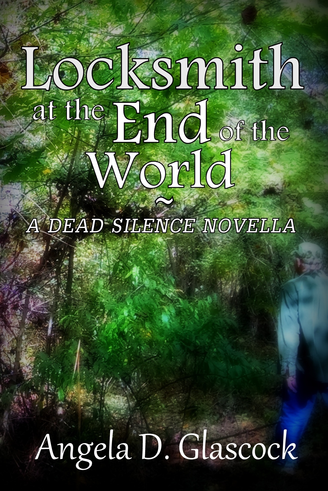 Locksmith at the End of the World by Angela D. Glascock | Goodreads