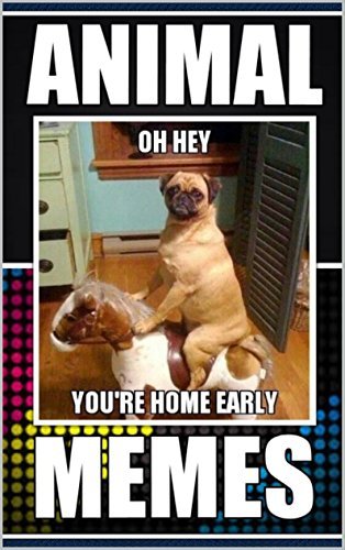 Memes: Funny Animal Memes, Jokes, Funny Pictures and Other Cool Stuff ...