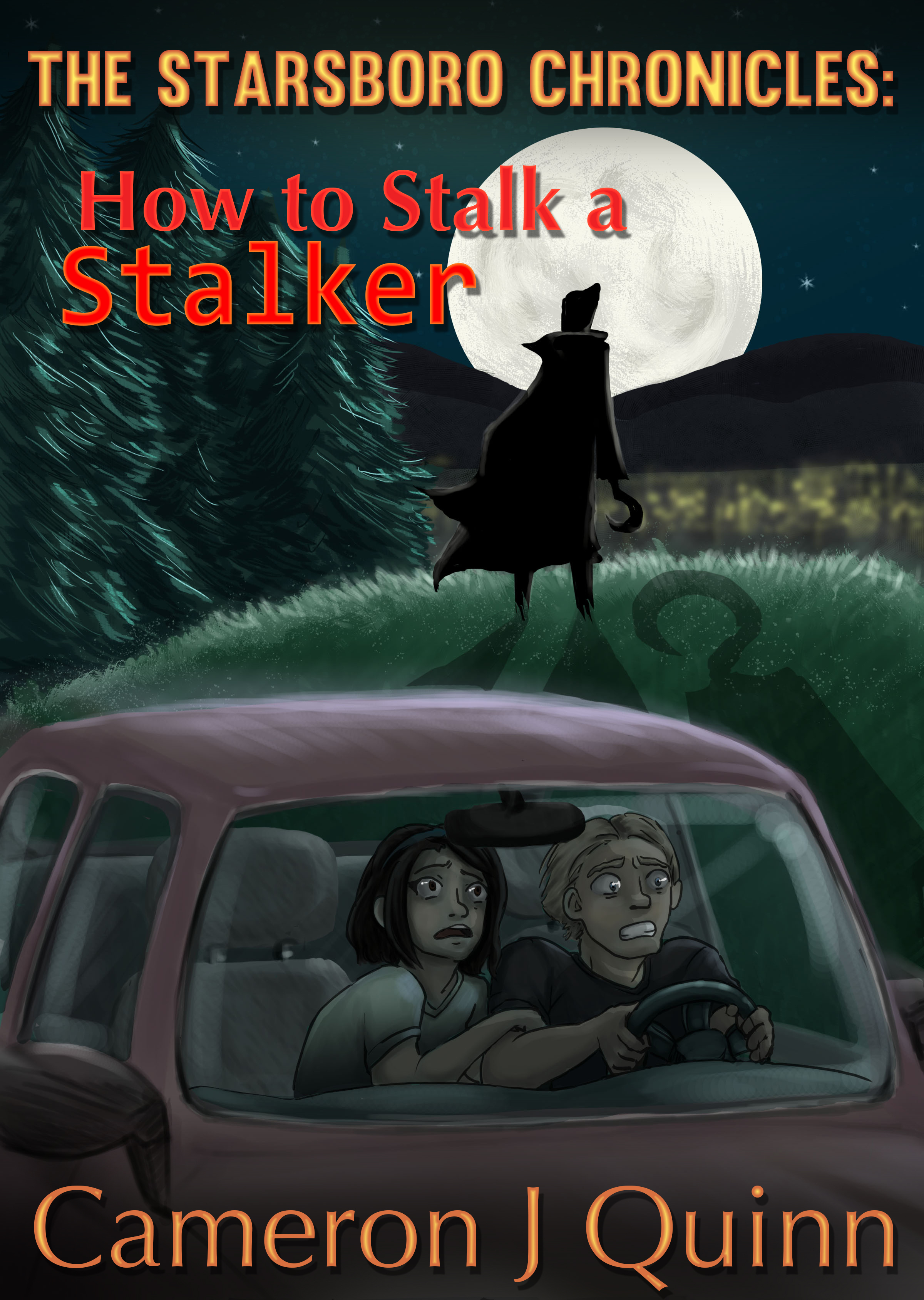 How to Stalk a Stalker by Cameron J. Quinn | Goodreads
