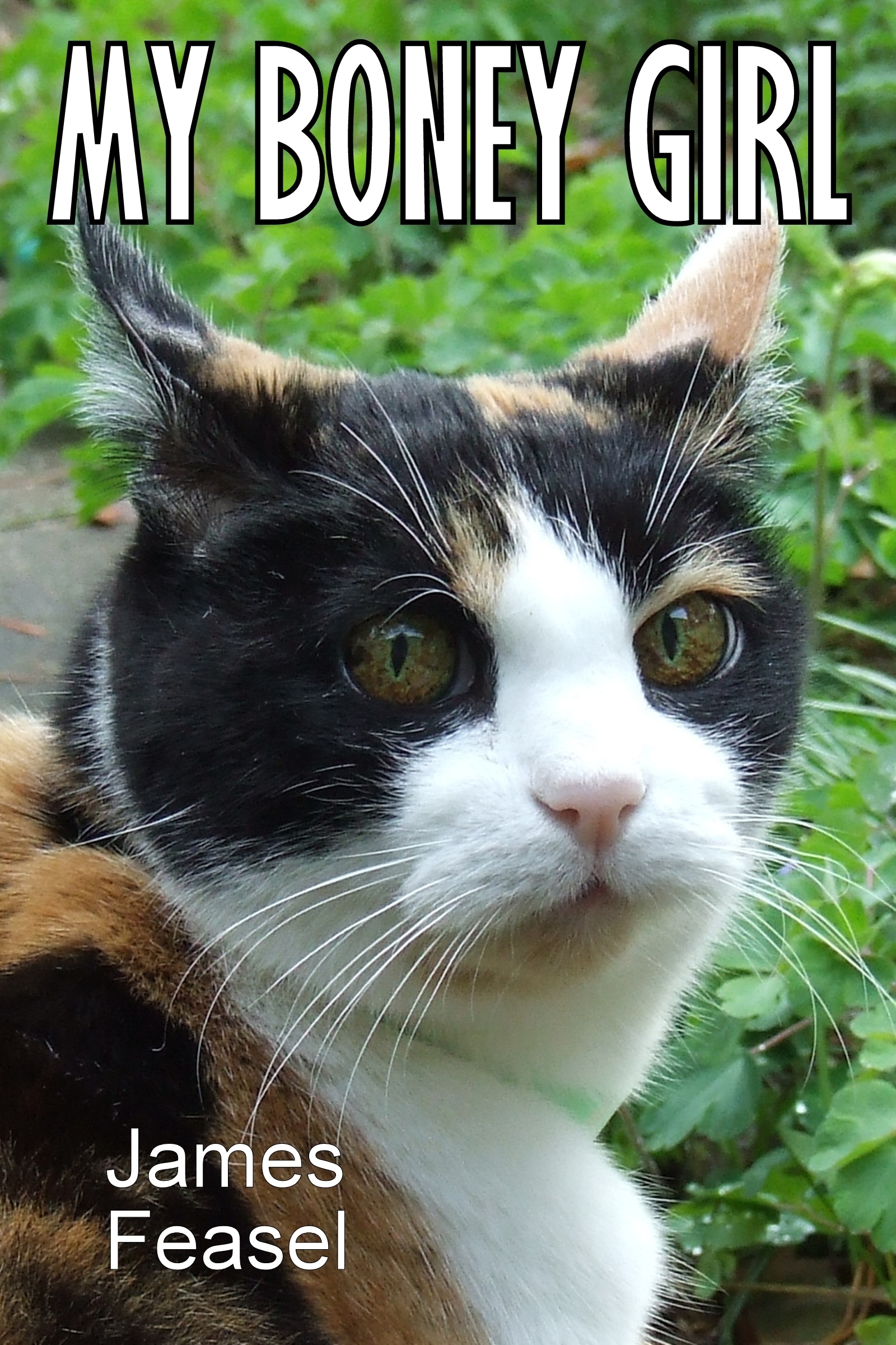 My Boney Girl by James Feasel | Goodreads