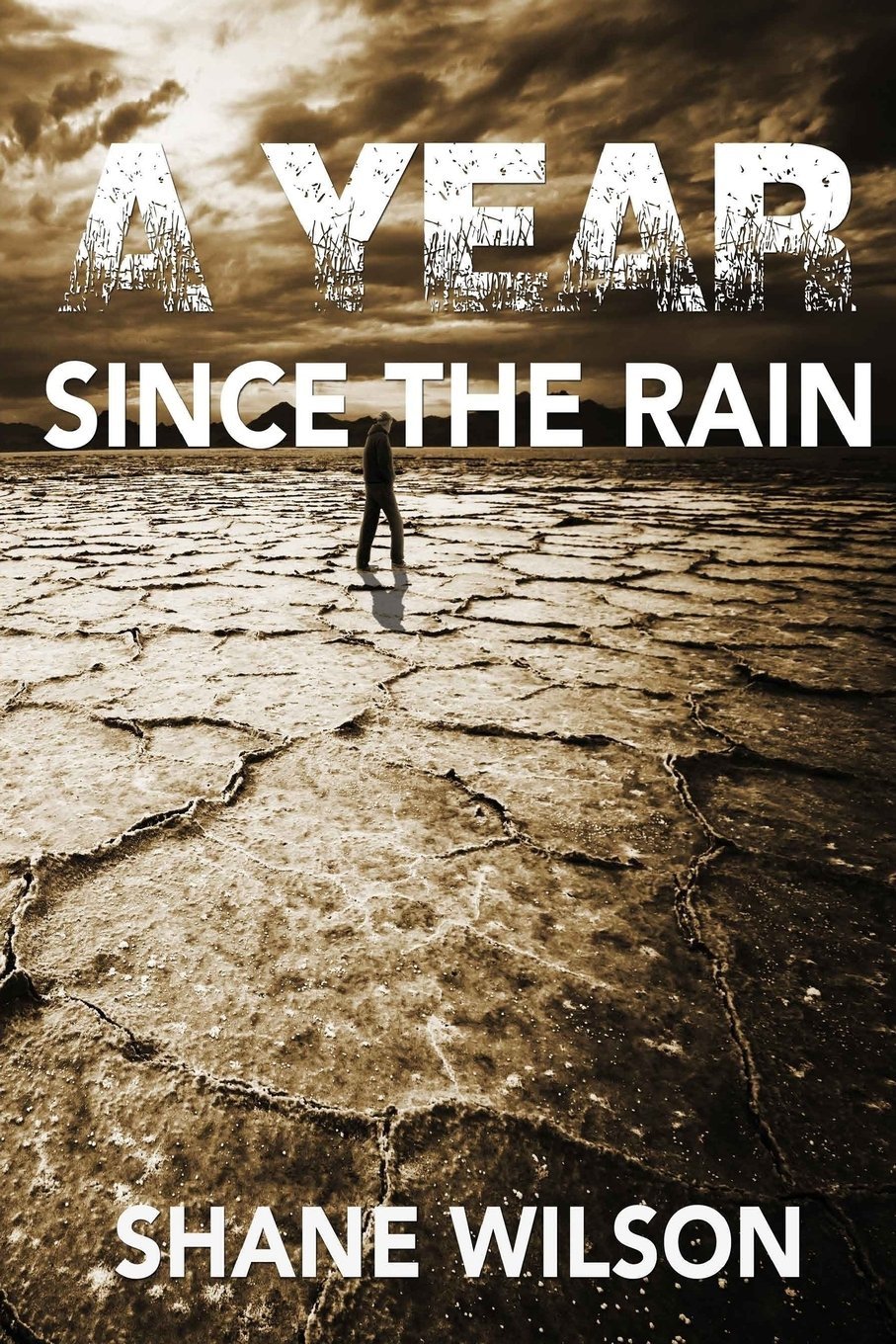 A Year Since The Rain (World Of Muses) by Shane Wilson | Goodreads