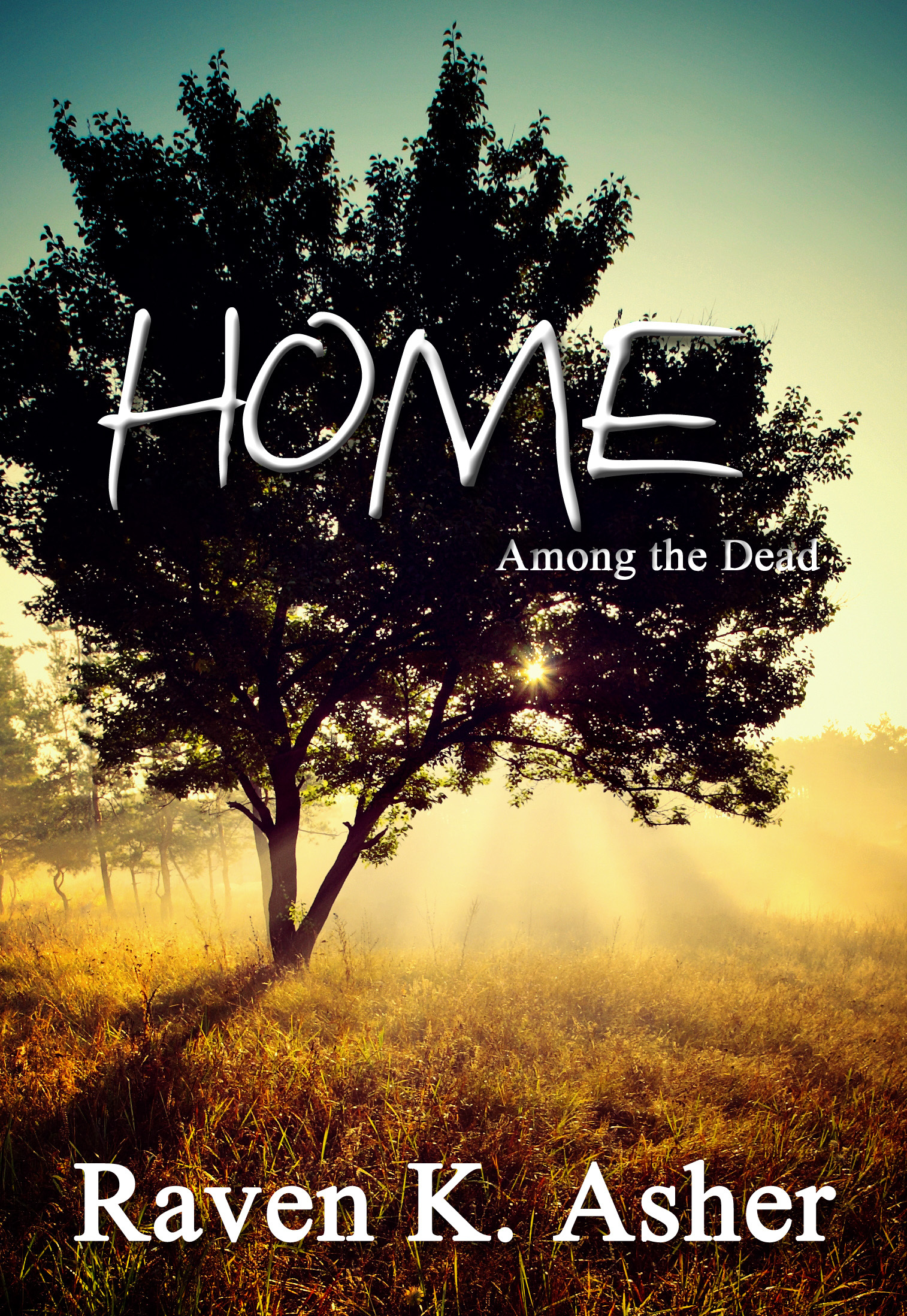 Home (Among the Dead, #3) by Raven K. Asher | Goodreads