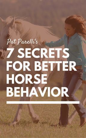 Pat Parelli seven secrets for better horse behaviour by Pat Parelli ...