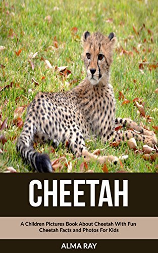 Cheetah: A Children Pictures Book About Cheetah With Fun Cheetah Facts ...