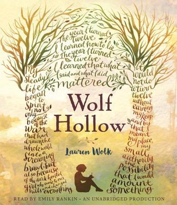Wolf Hollow by Lauren Wolk | Goodreads