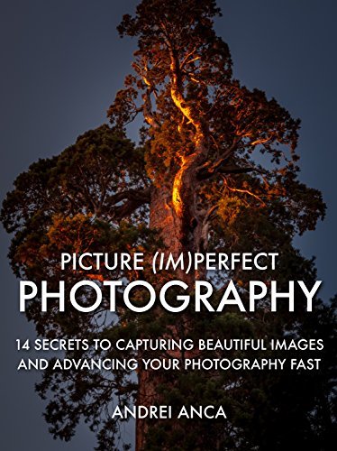 Picture (Im)perfect Photography: 14 Secrets to Capturing Beautiful ...