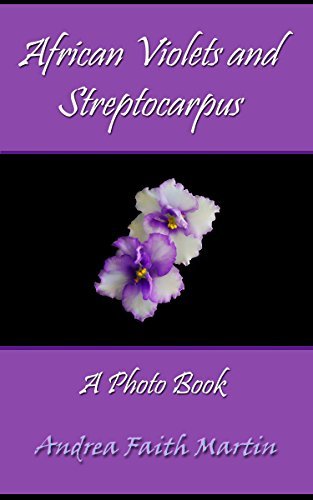 African Violets and Streptocarpus: A Photo Book by Andrea Faith Martin ...