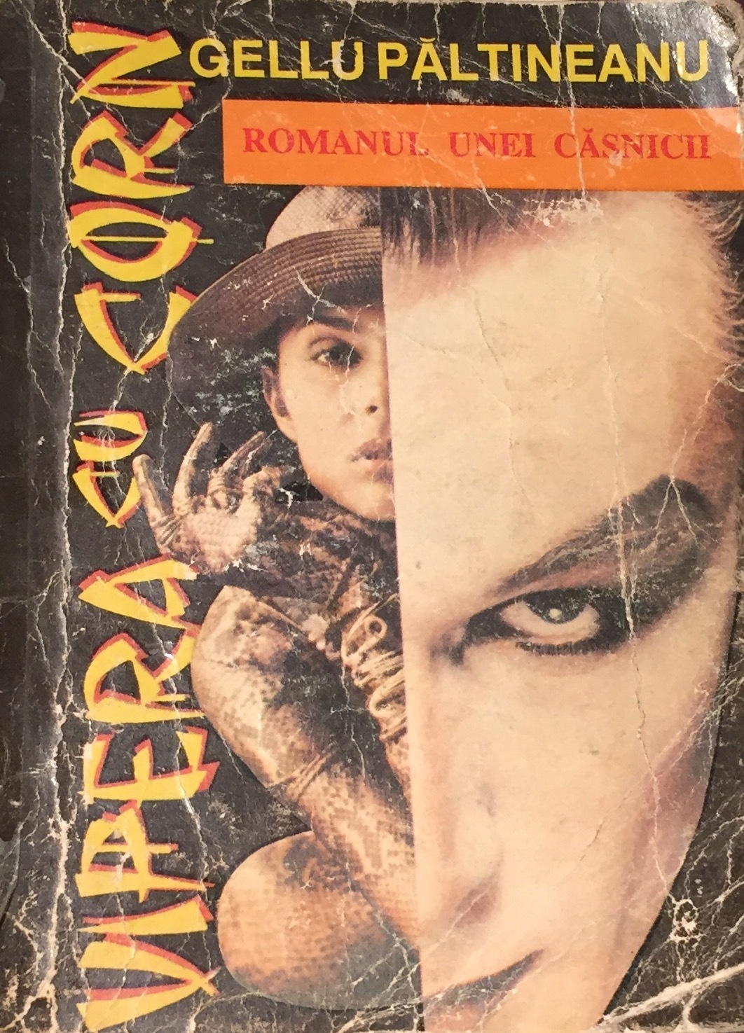 Vipera cu corn by Gellu Paltineanu | Goodreads