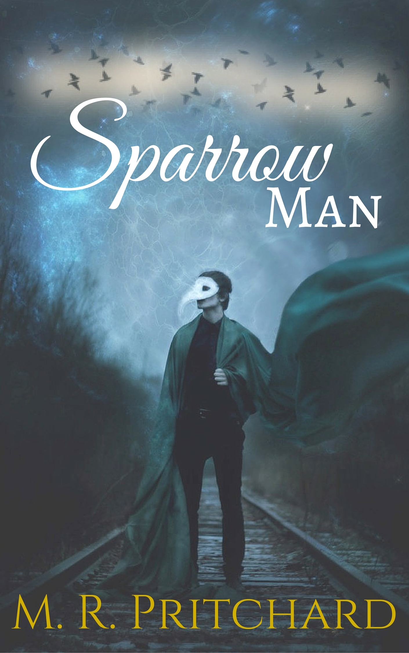 Sparrow Man by M.R. Pritchard | Goodreads
