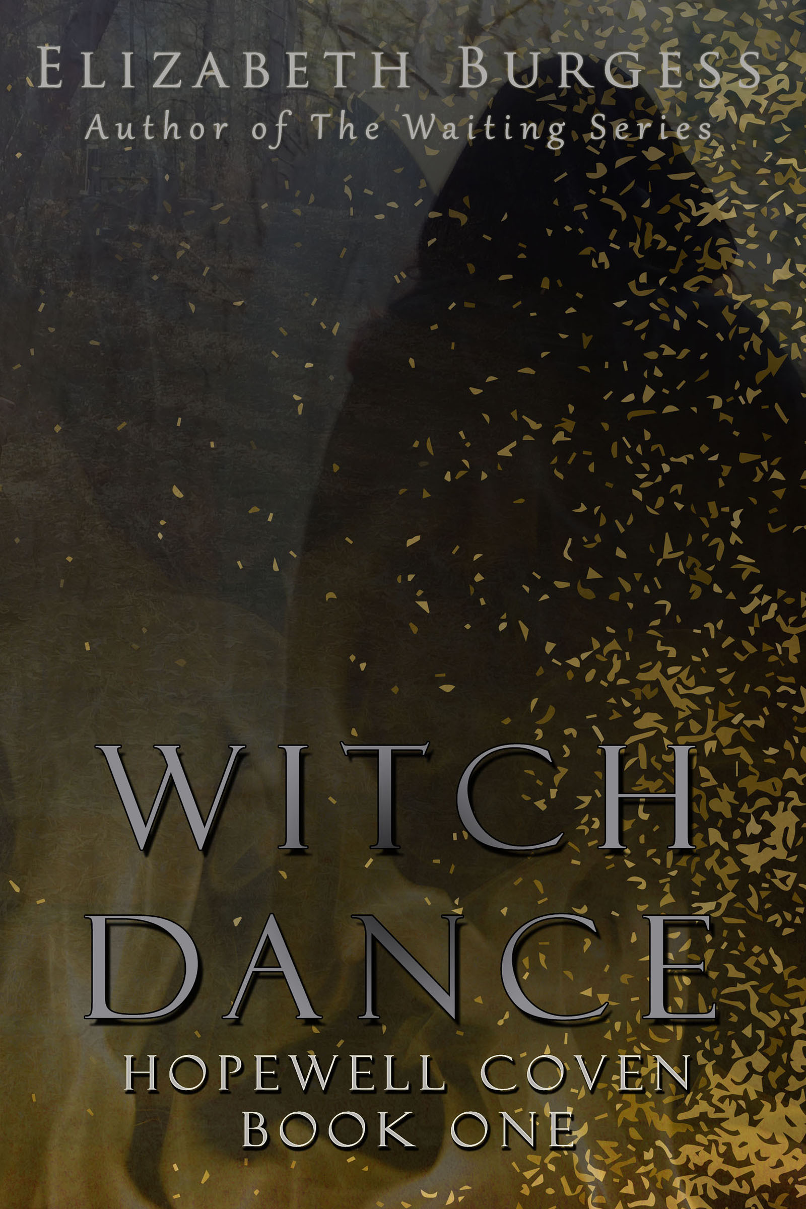 Witch Dance (Hopewell Coven, #1) by Elizabeth Burgess | Goodreads