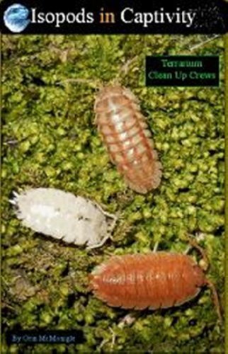 Isopods in Captivity: Terrarium Clean-up Crews by Orin McMonigle ...