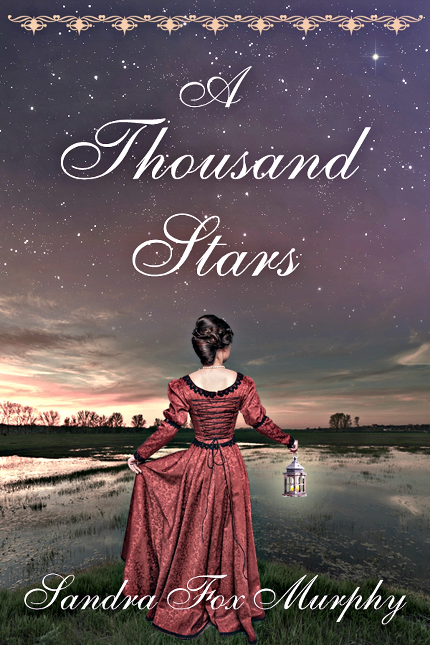 A Thousand Stars by Sandra Fox Murphy | Goodreads