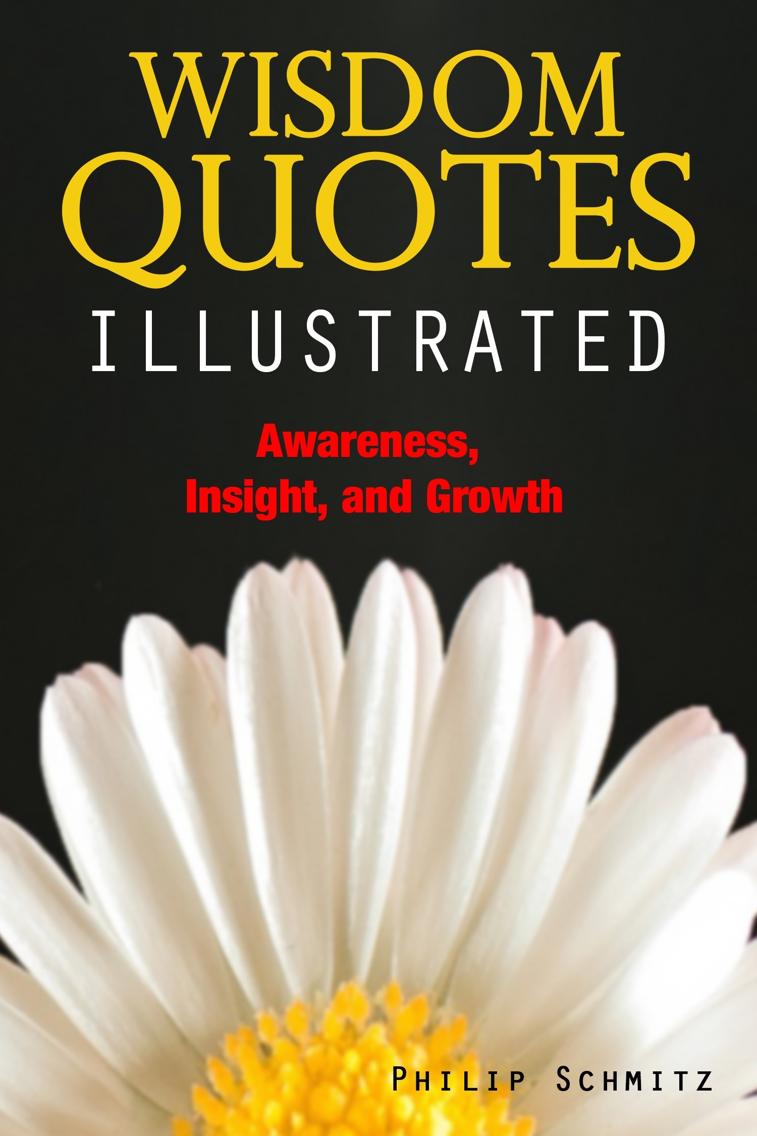 Wisdom Quotes Illustrated by Philip Schmitz | Goodreads