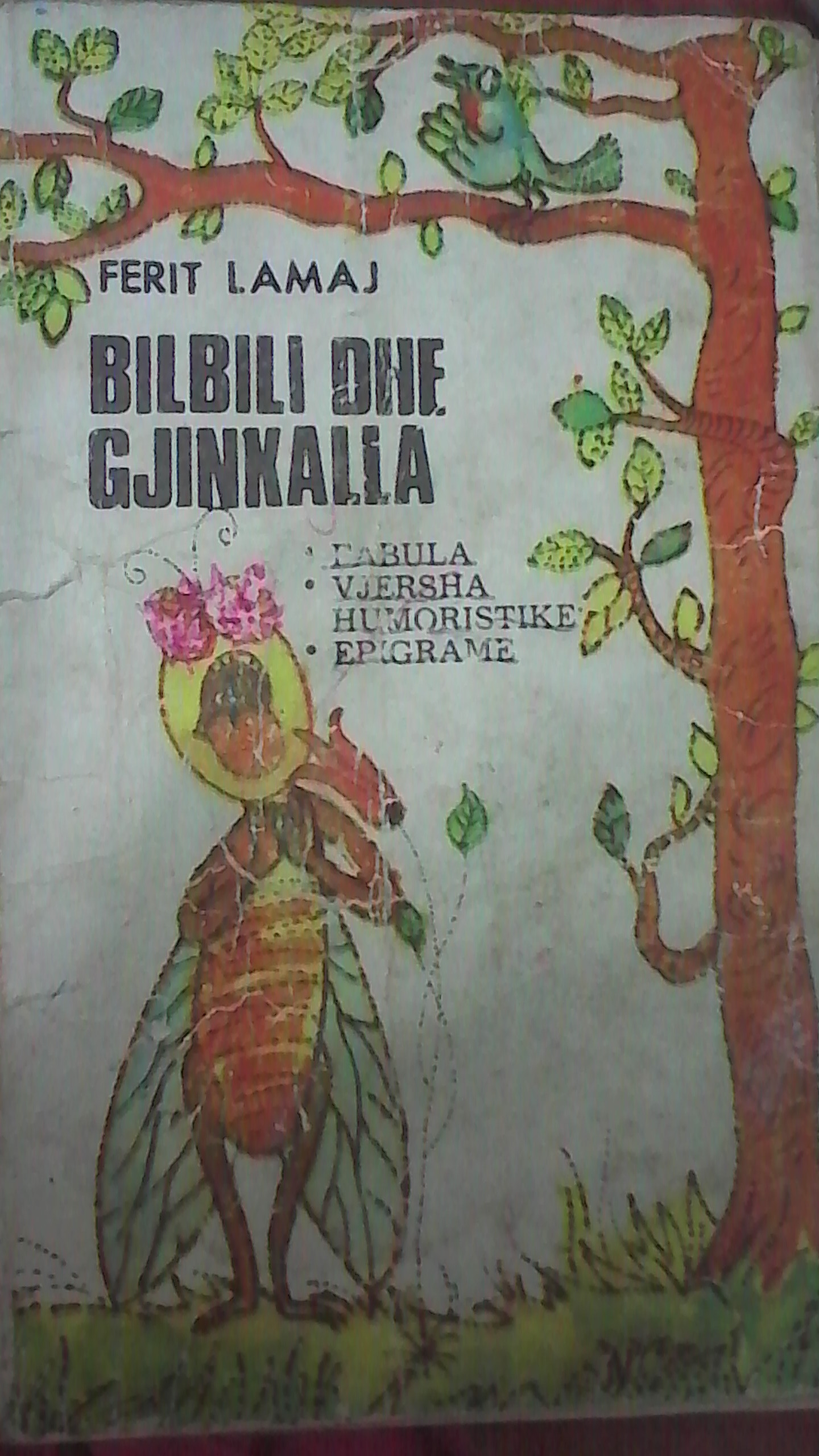 Bilbili dhe gjinkalla by Ferit Lamaj | Goodreads