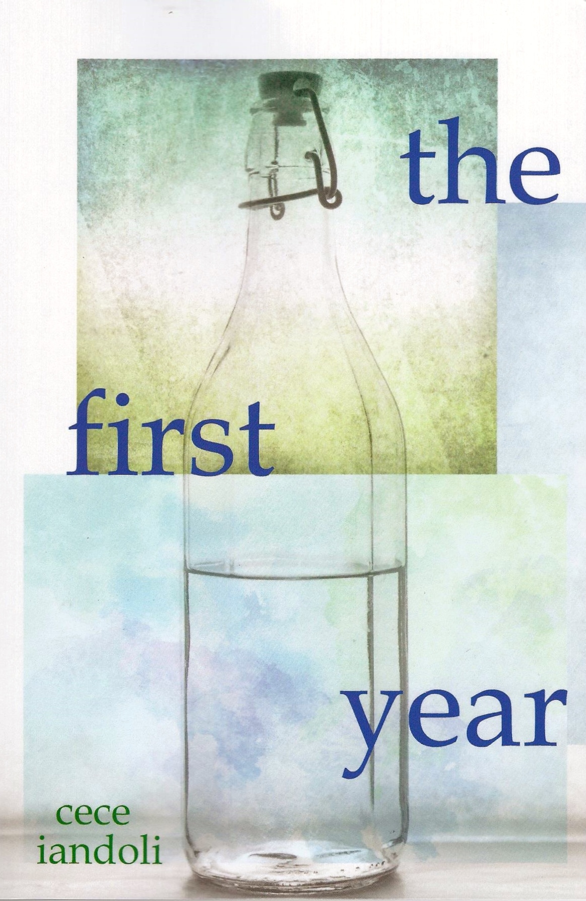 The First Year by Cece Iandoli | Goodreads